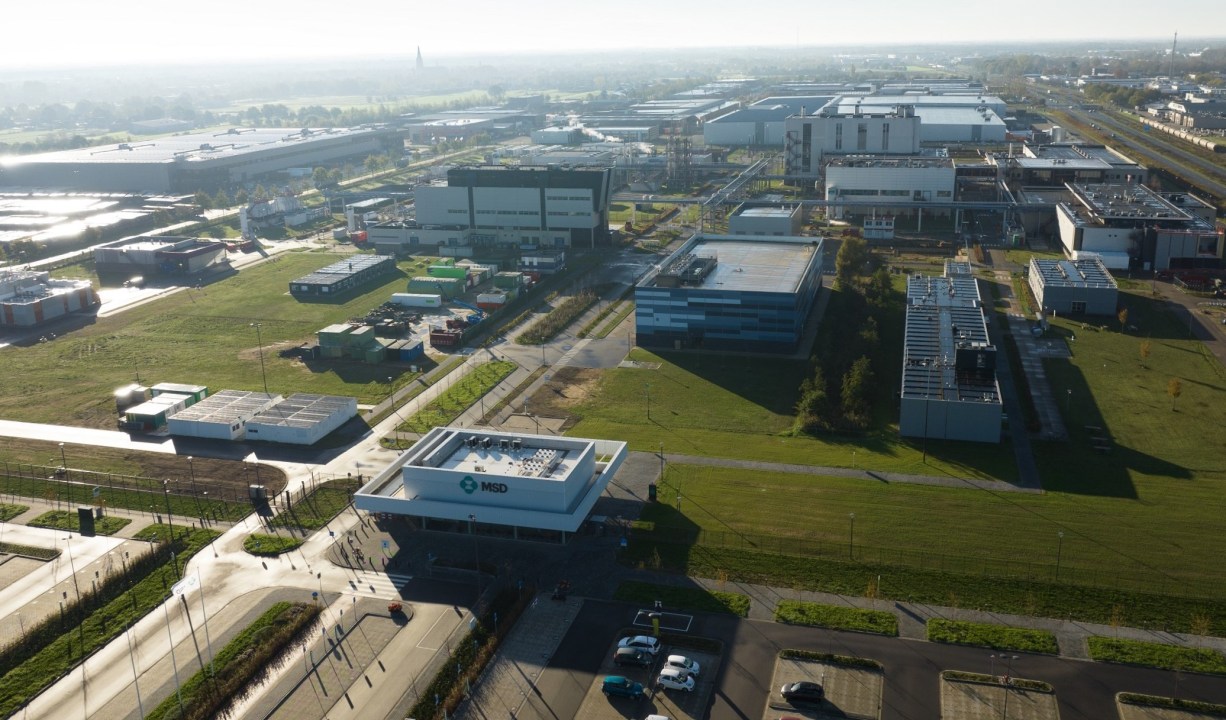 Ons bedrijf - MSD